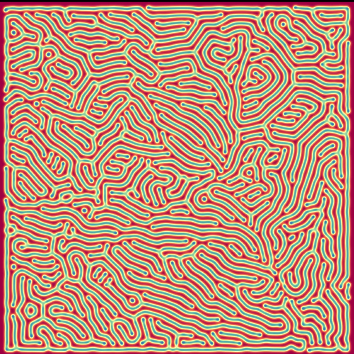 Meet the Team | Biological Modeling